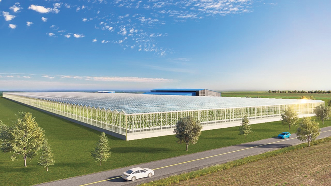 Vegpro - Construction d'un bâtiment agricole - DGI Experts-conseils